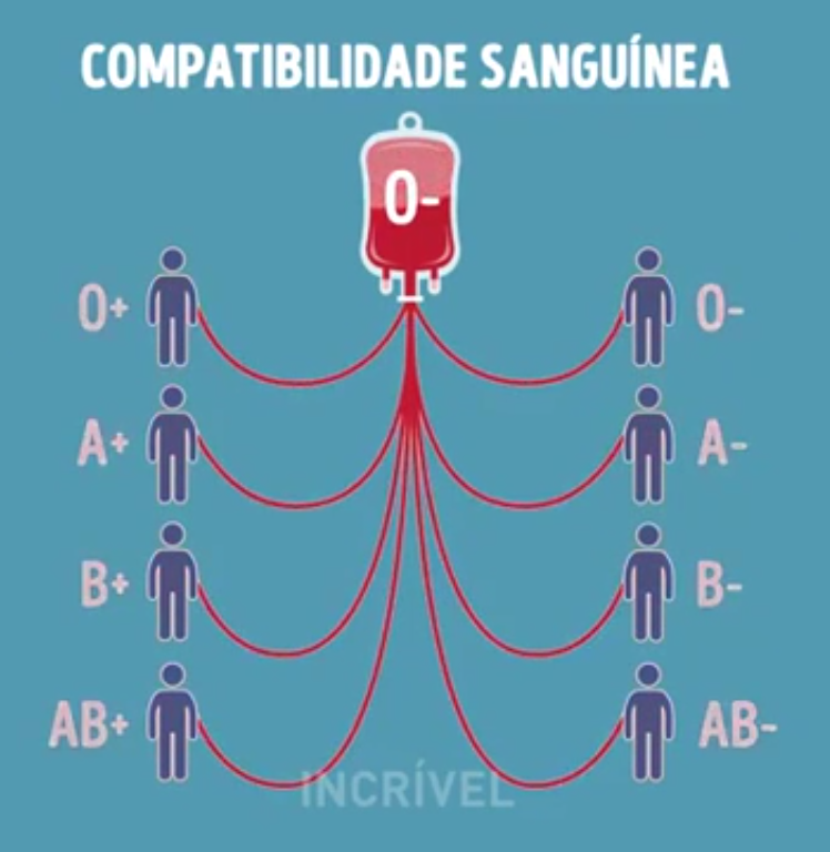 Compatibilidade sanguínea - Uma forma prática e didática de compreender a compatibilidade entre ...