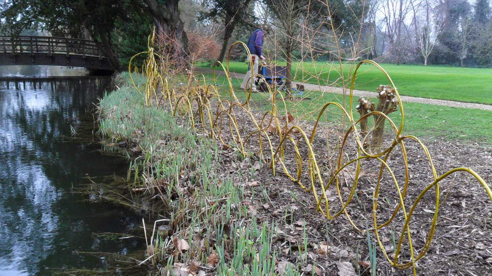 Worcester College Gardeners 2009-2018: Willow Weaving A Goose Proof ...