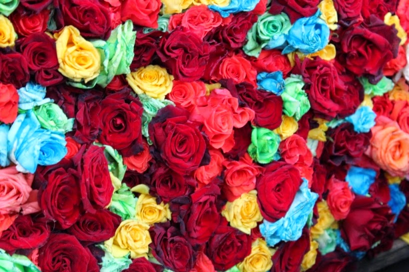 Kovai Flower Market Photowalk | My Travelogue - Indian Travel Blogger ...