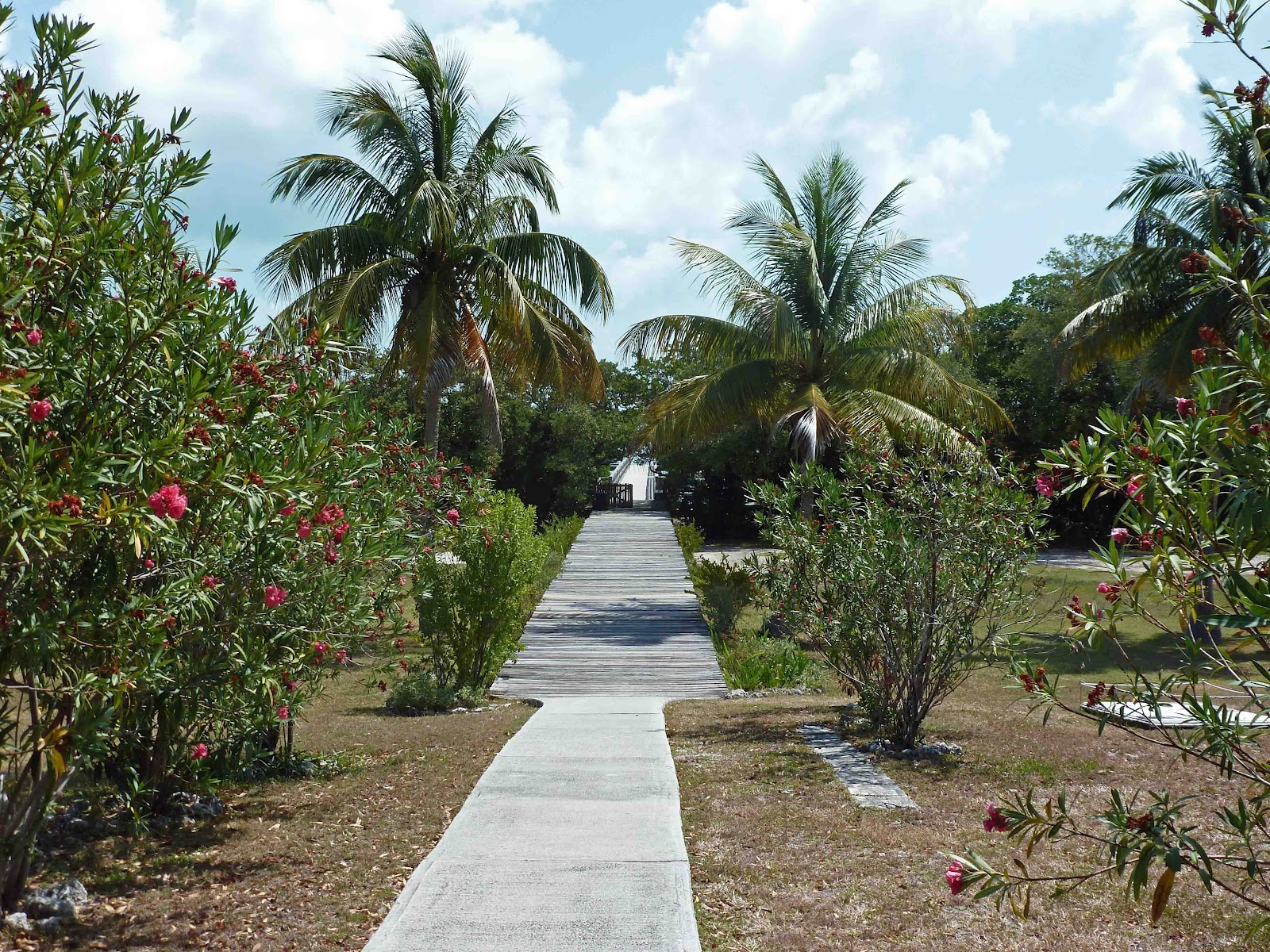 Last Dance: Lignumvitae Key Botanical State Park