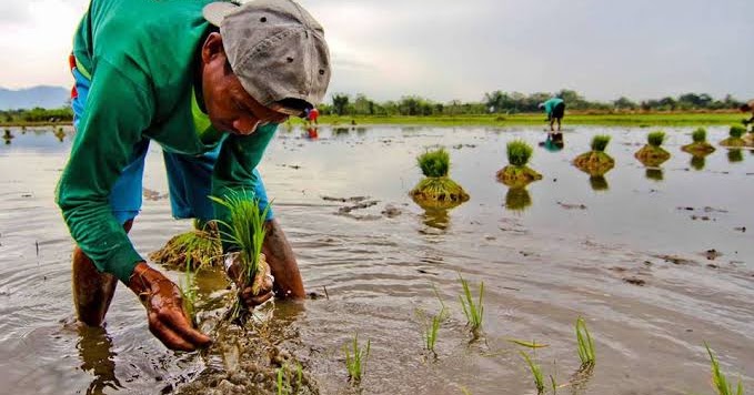 Pangingisda at Pagsasaka