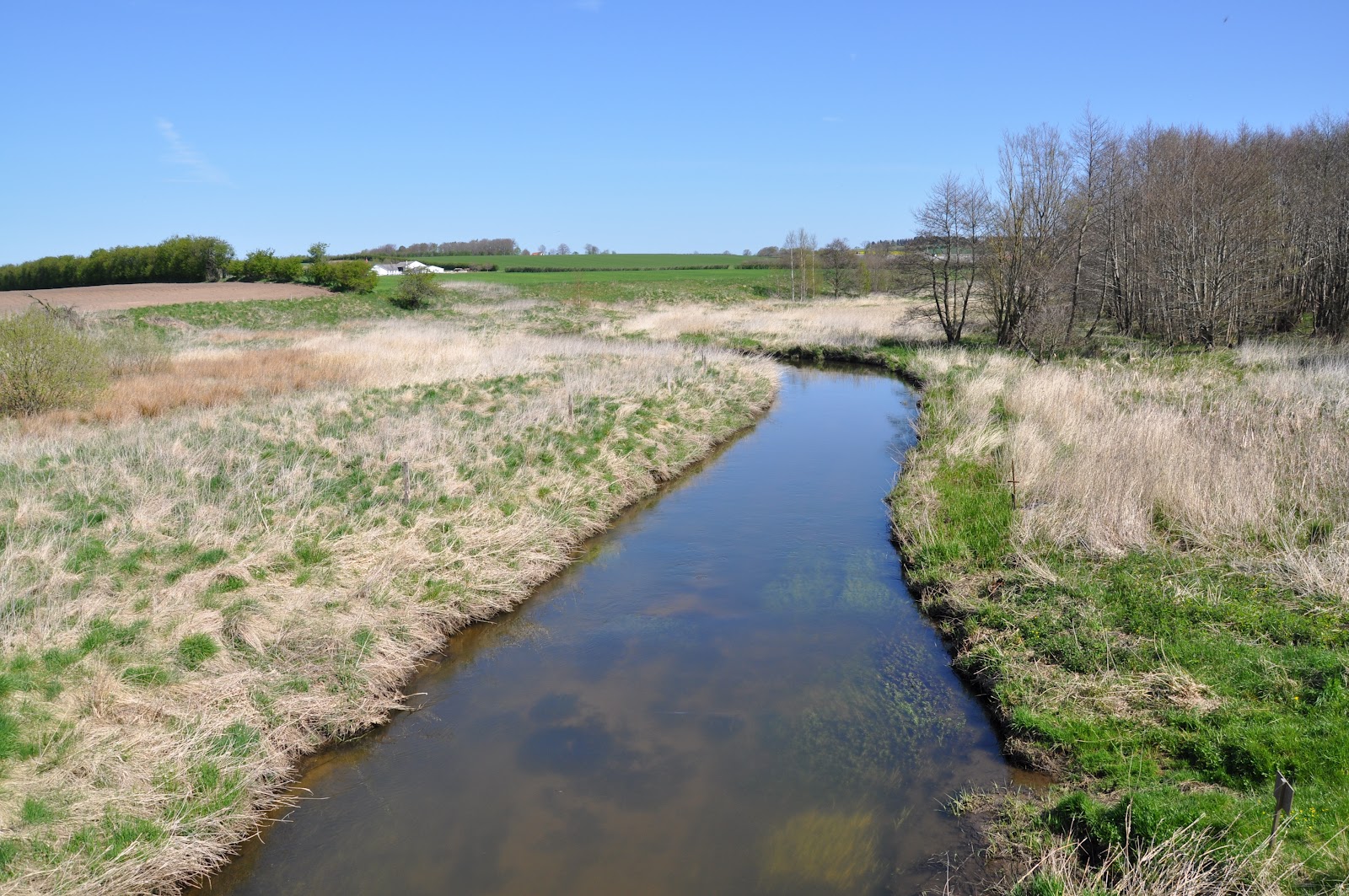 Biologi C HF-E 2011-2012