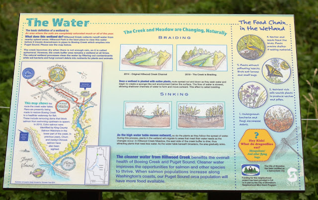 Shoreline Area News: Hillwood Neighborhood Association unveils display ...