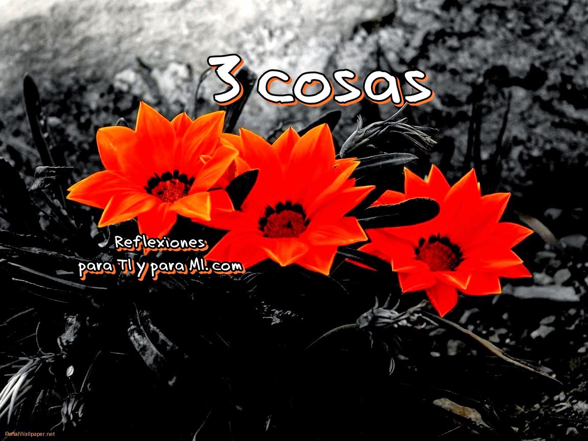 Reflexiones para TI y para MÍ: *@ TRES COSAS IMPORTANTÍSIMAS