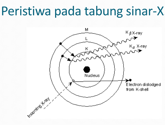 oret oretan: SINAU XRF (X-Ray Fluoroscence)