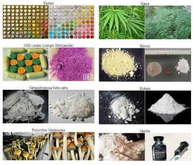 Jenis-Jenis Narkoba dan Gambarnya | Tugas Sekolahku | Tugas Kuliahku ...