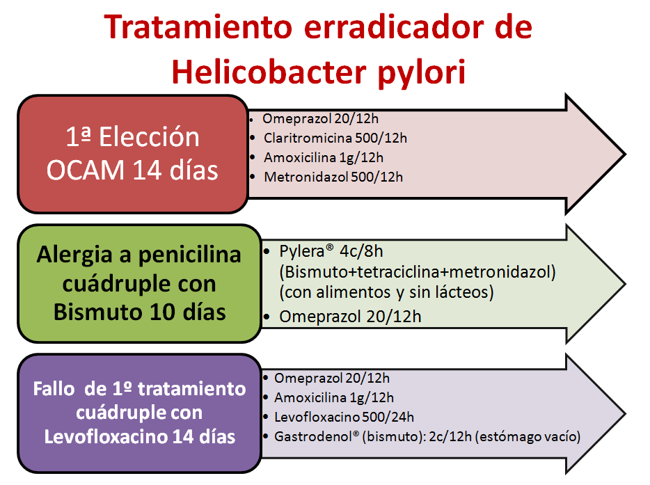 Tratamiento Helicobacter Pylori