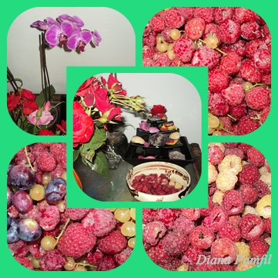 naturalete si firesc: Sanatatea din fructele de padure