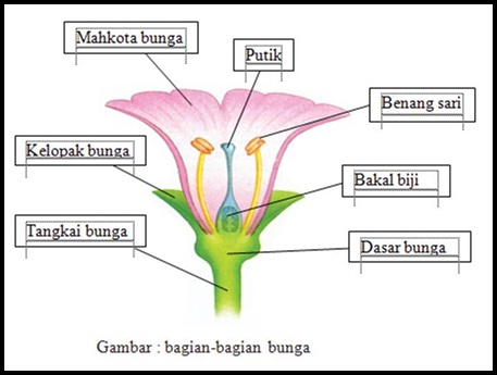 Billy The Kids @ 9A: Serbuk Sari & Bunga