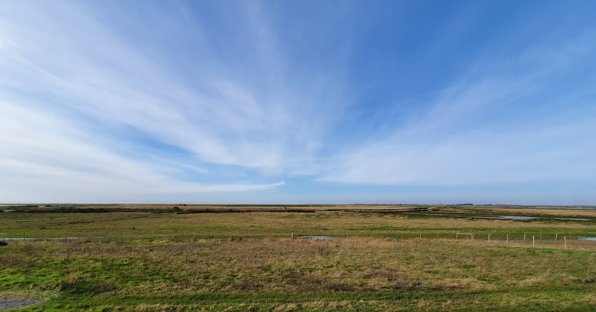 Location Profile: RSPB Medmerry