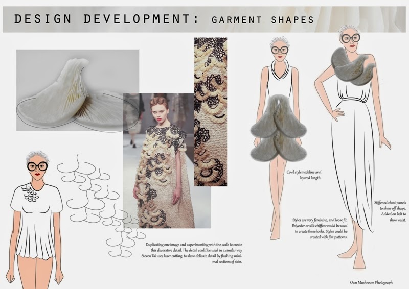Fashion Product Development: Development Into Design