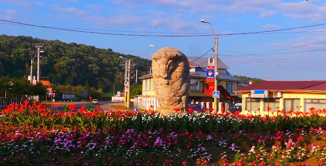 Zimbrul din Oneşti | Onesti Video