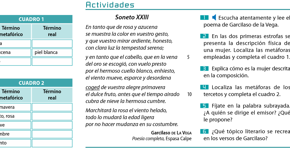 DAVID LENGUA 3º ESO: En tanto que de rosa y azucena