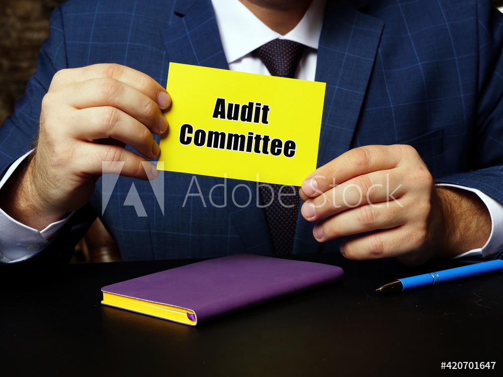What is Audit Committee ? | Meaning, Powers, Constitution