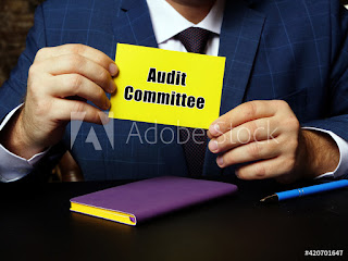 What is Audit Committee ? | Meaning, Powers, Constitution