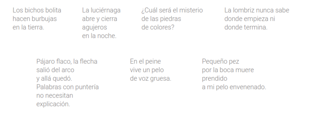 E.P N°39 "IGNACIO FERMIN RODRIGUEZ": Prácticas del lenguaje 4°A Y B