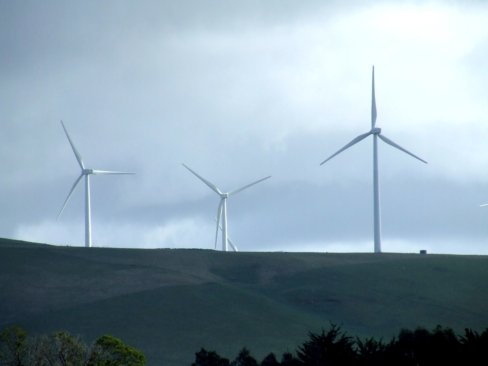 Waubra Wind Farm - The Greening of Gavin