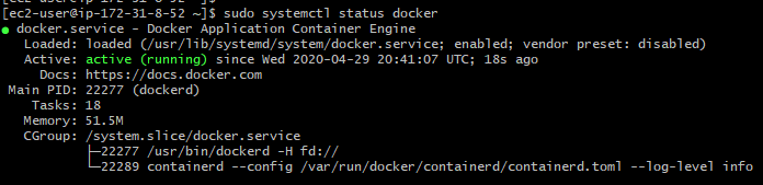 Continuous Integration and DevOps Tools Setup and Tips: Docker Installation on Red Hat Linux 8 ...