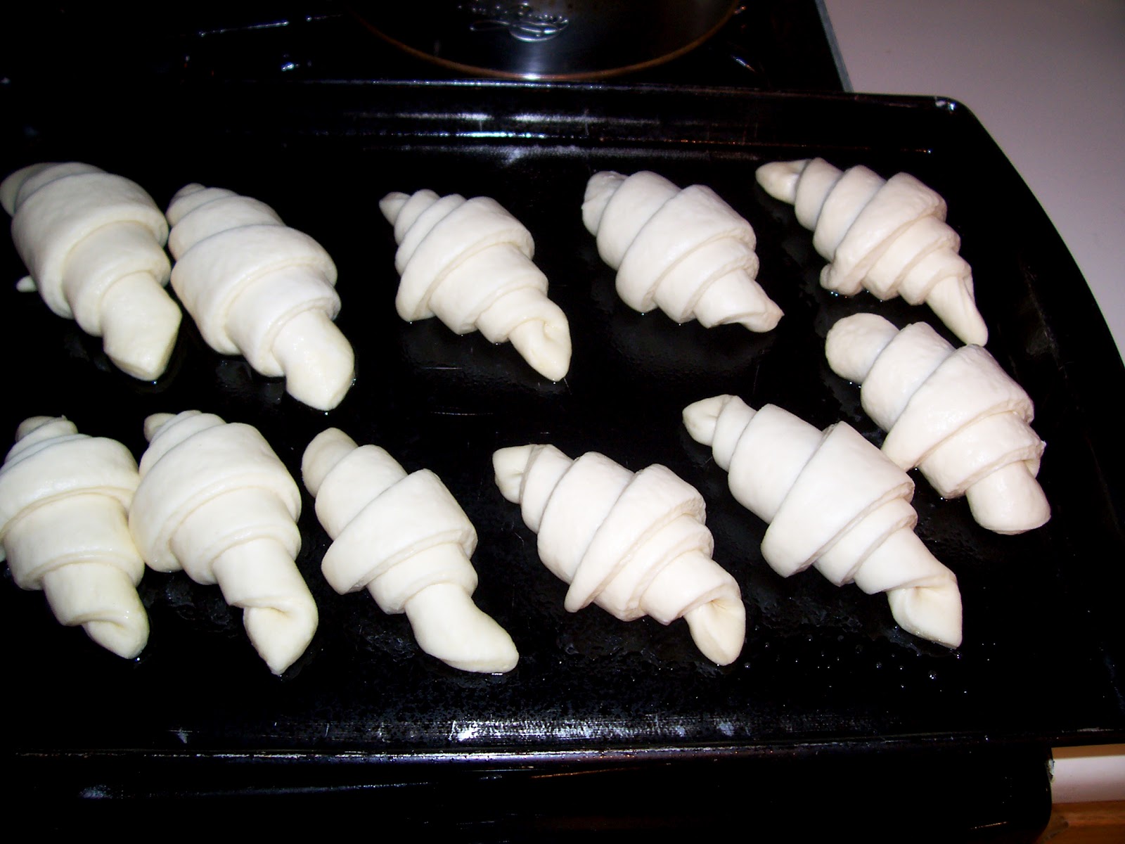 Homemade Proof Box for Croissants (and other breads) – Susan's Cooking ...