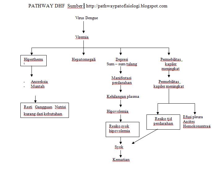 Pathway DHF - Pathway Patofisiologi