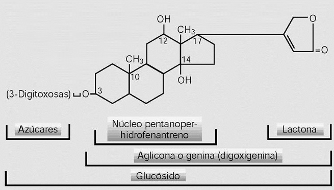 Estructura quimica de la digoxina