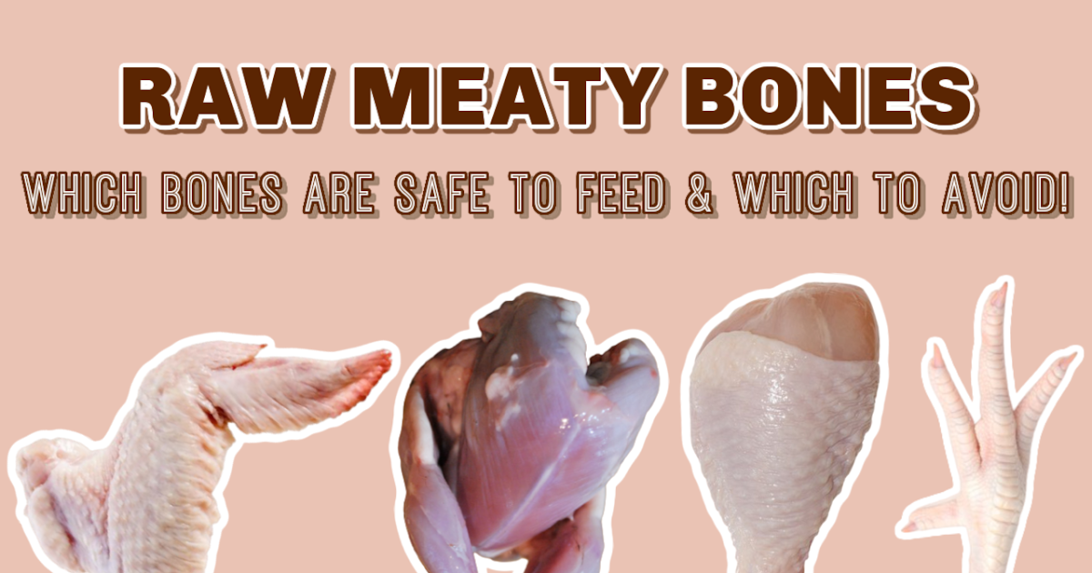 Raw Meaty Bones- A List of Raw Bones that are Safe for Pets & Which ...