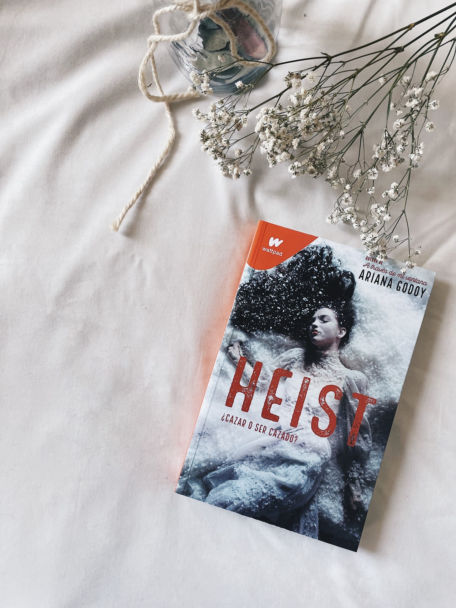 Diluvio de Letras: Reseña #272: Heist