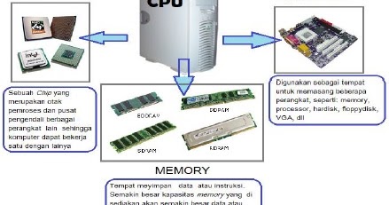 Contoh Jenis-Jenis Perangkat Input, Proses dan Output Komputer - Blog ...