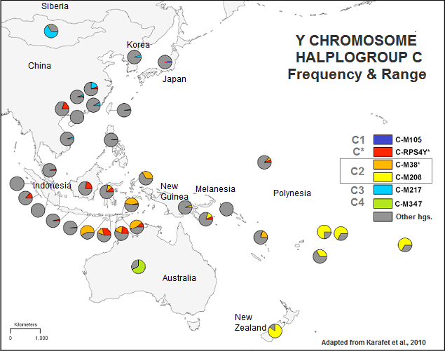 NRY haplogroup C, part 2. Eurasia and Homo erectus : 네이버 블로그