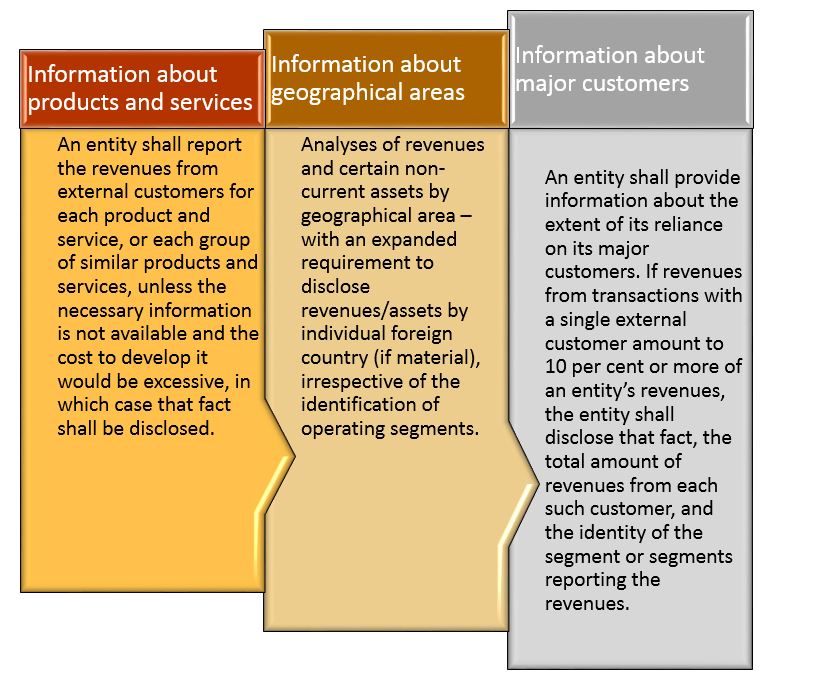 IFRS 8 Operating Segments - ADVISE LANCE