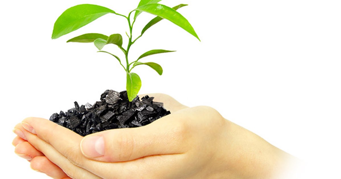 Biochar Agriculture for Arid and Semi-arid Agricultural Soils