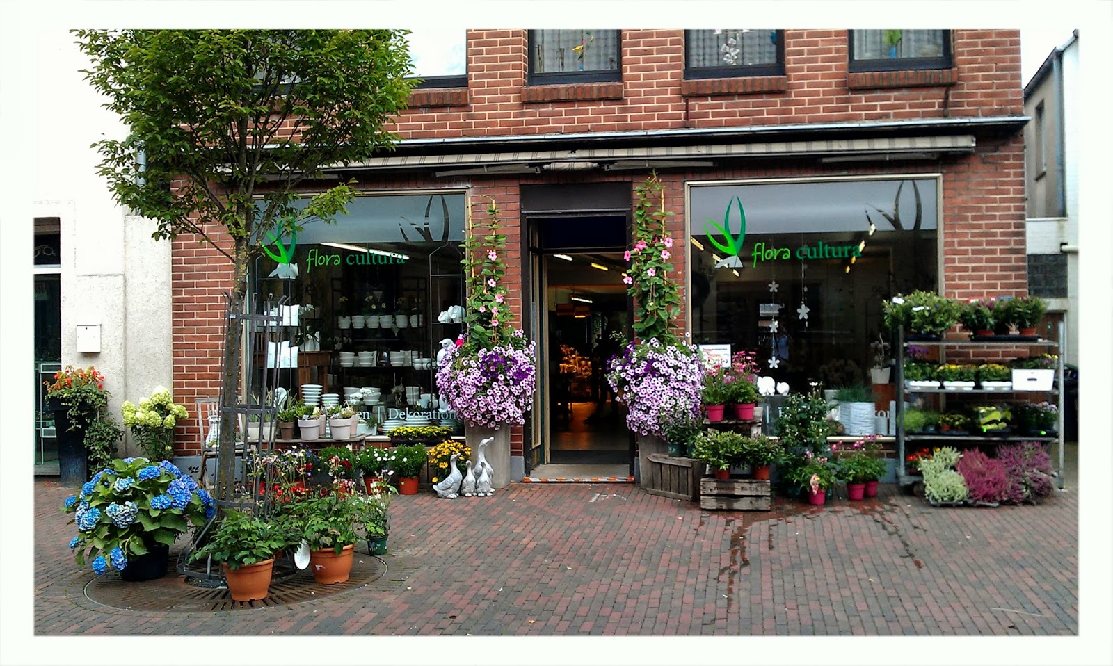 Floral inspirations van Joke Veldhuis: MIJN EERSTE SPONTANE ONTMOETING MET EEN DUITSE BLOEMENWINKEL