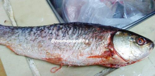 Dari Dapur MaDiHaA: Gulai Tempoyak Ikan Rohu