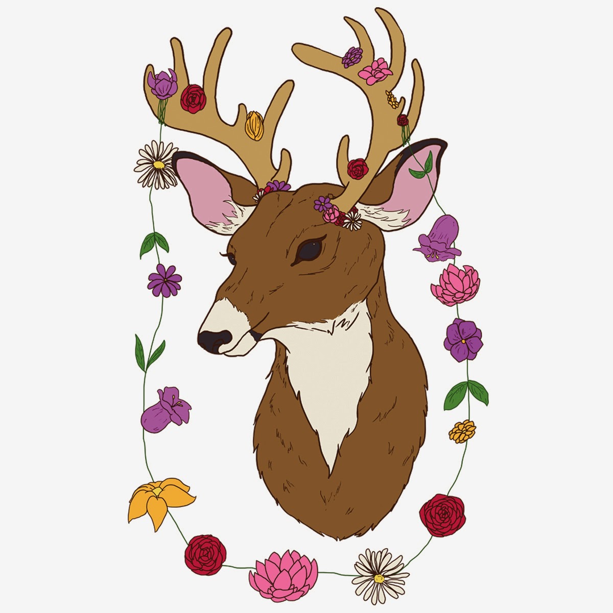 ThreadsForEd Blog: The Spring Deer Are Here