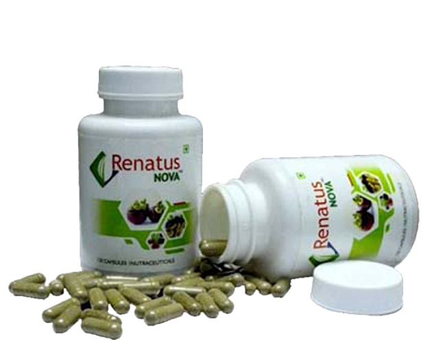 Nutraceuitical Product - Renatus NOVA