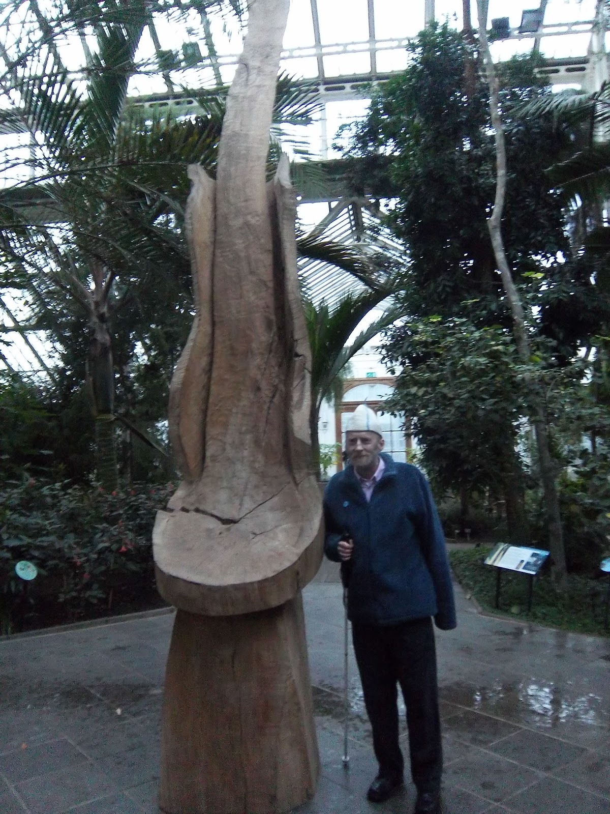Professor Whitestick's Blog: Kew Gardens: David Nash Sculpture