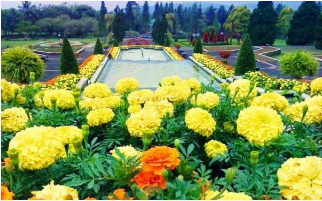 IndonesiaTravel: TAMAN BUNGA NUSANTARA BOGOR