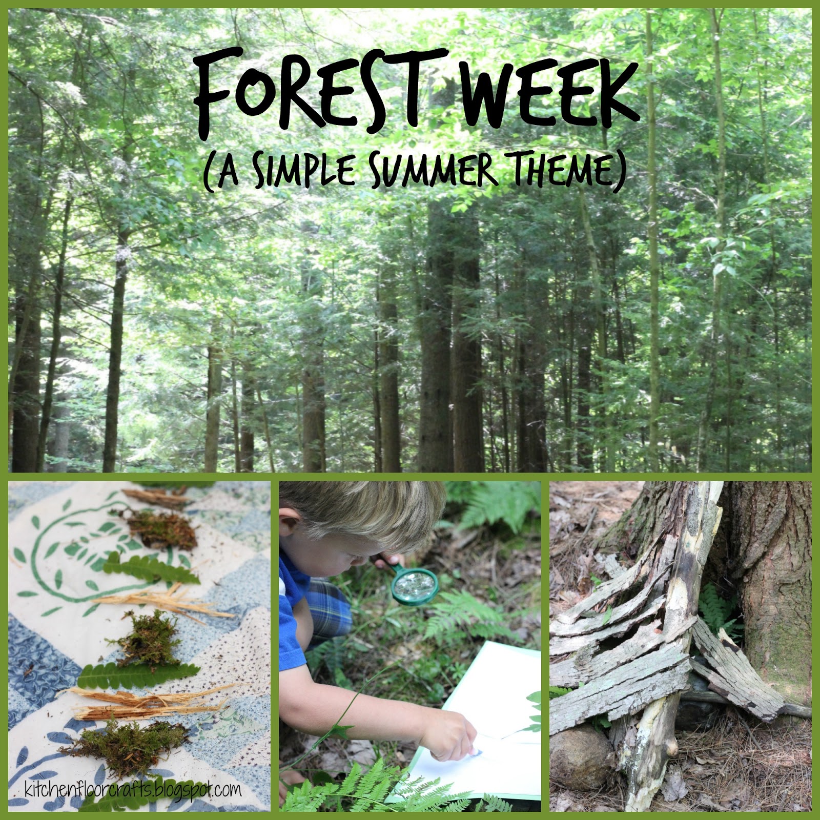 Kitchen Floor Crafts: Forest Week (A Simple Summer Theme)