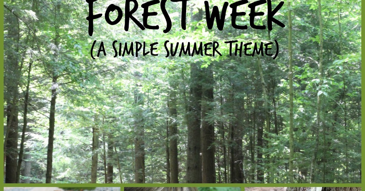 Kitchen Floor Crafts: Forest Week (A Simple Summer Theme)