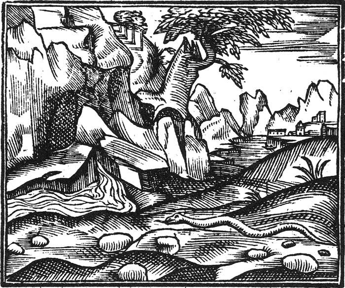 Black and White: Oilliphéist