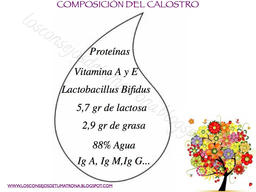Y ahora sabiendo esto, ¿ Es necesario complementar al recién nacido con ...