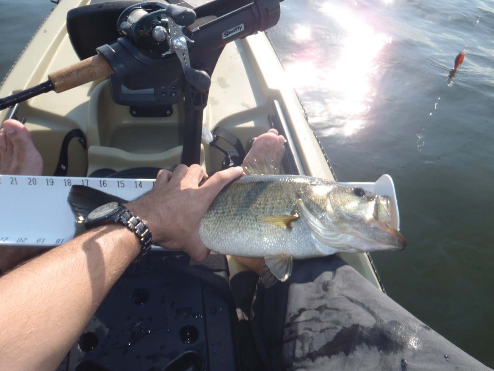 Kayak Fishing with Team Chancho