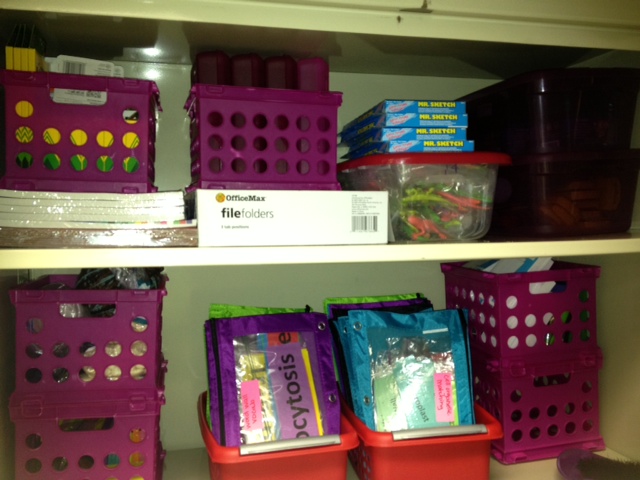 Science in Seventh!: Cabinet and other Classroom Storage-- Part 2