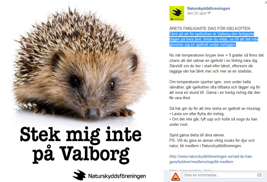 Faktoider: Valborg och igelkottar