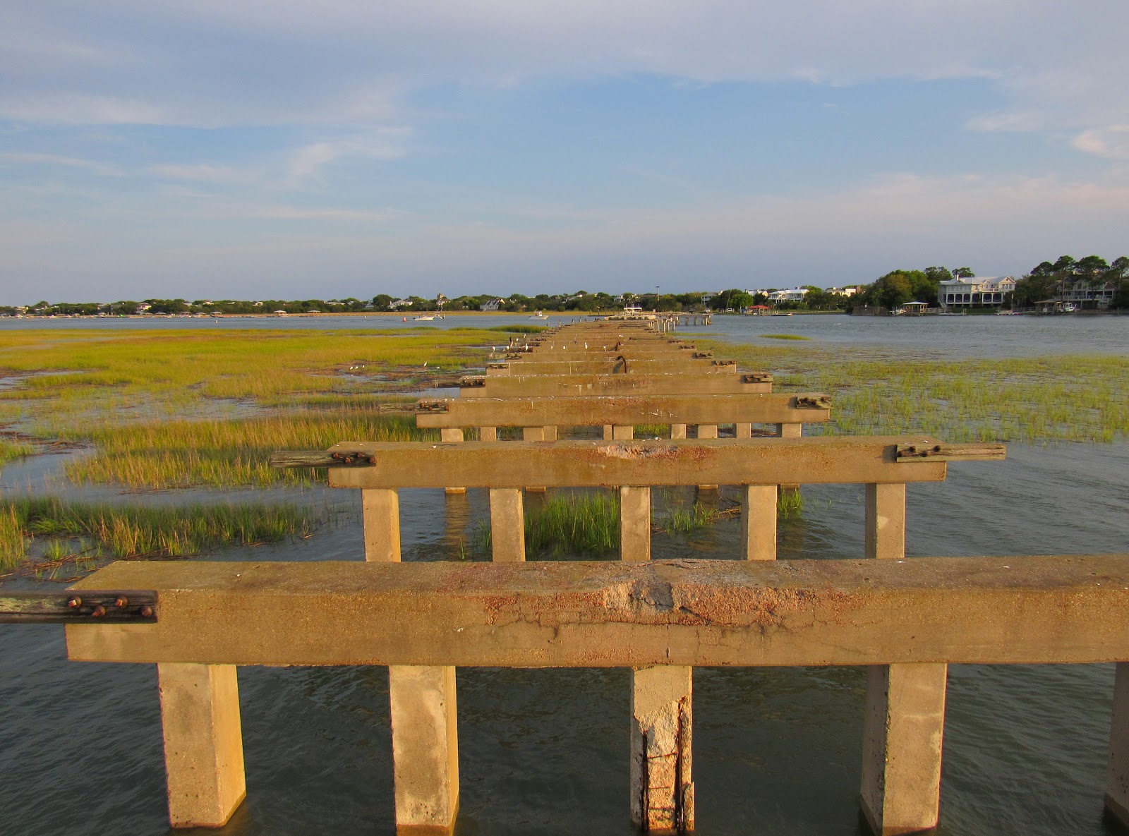 Exploring New Places: South Carolina's Salt Marshes and Tidal Creeks