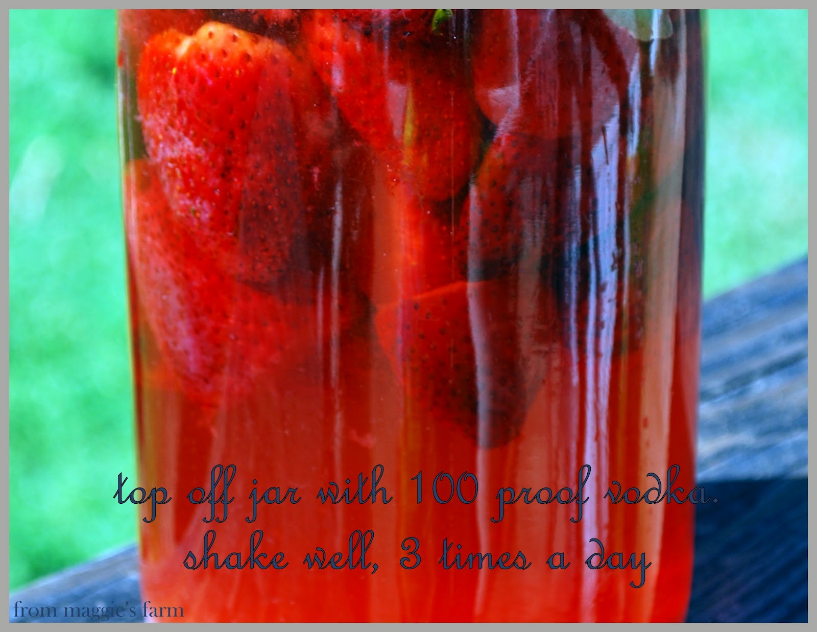 Notes from Maggie's Farm: farmstead strawberry basil cordial