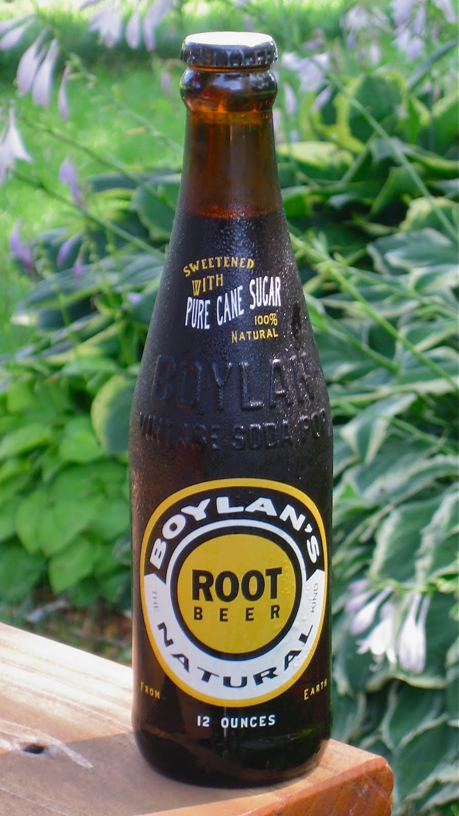 Our American Roots: Boylan's Natural Root Beer