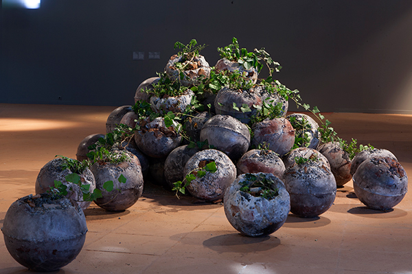 Digging In The Dirt: The work of Jamie North