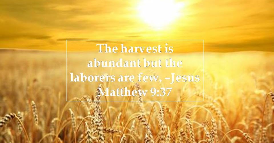 My Reflections...: Reflection for Tuesday July 10, Fourteenth Week in ...