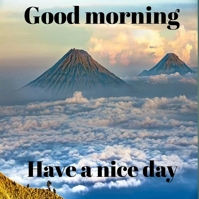 Good Morning My Love Images For Whatsapp